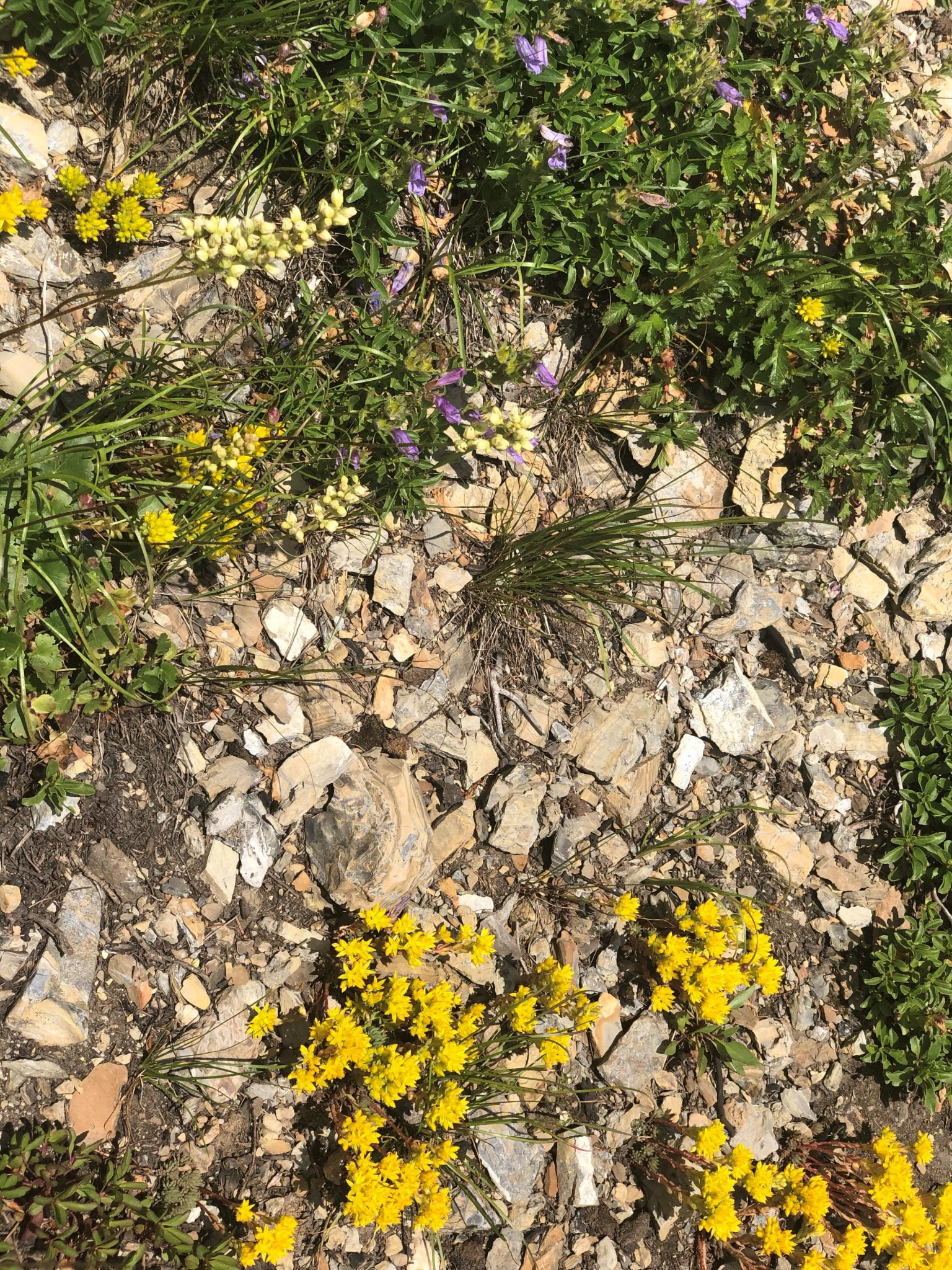 Jewel Basin Yurt – Jewel Basin Yurt Off grid yurt bordering the serene ...